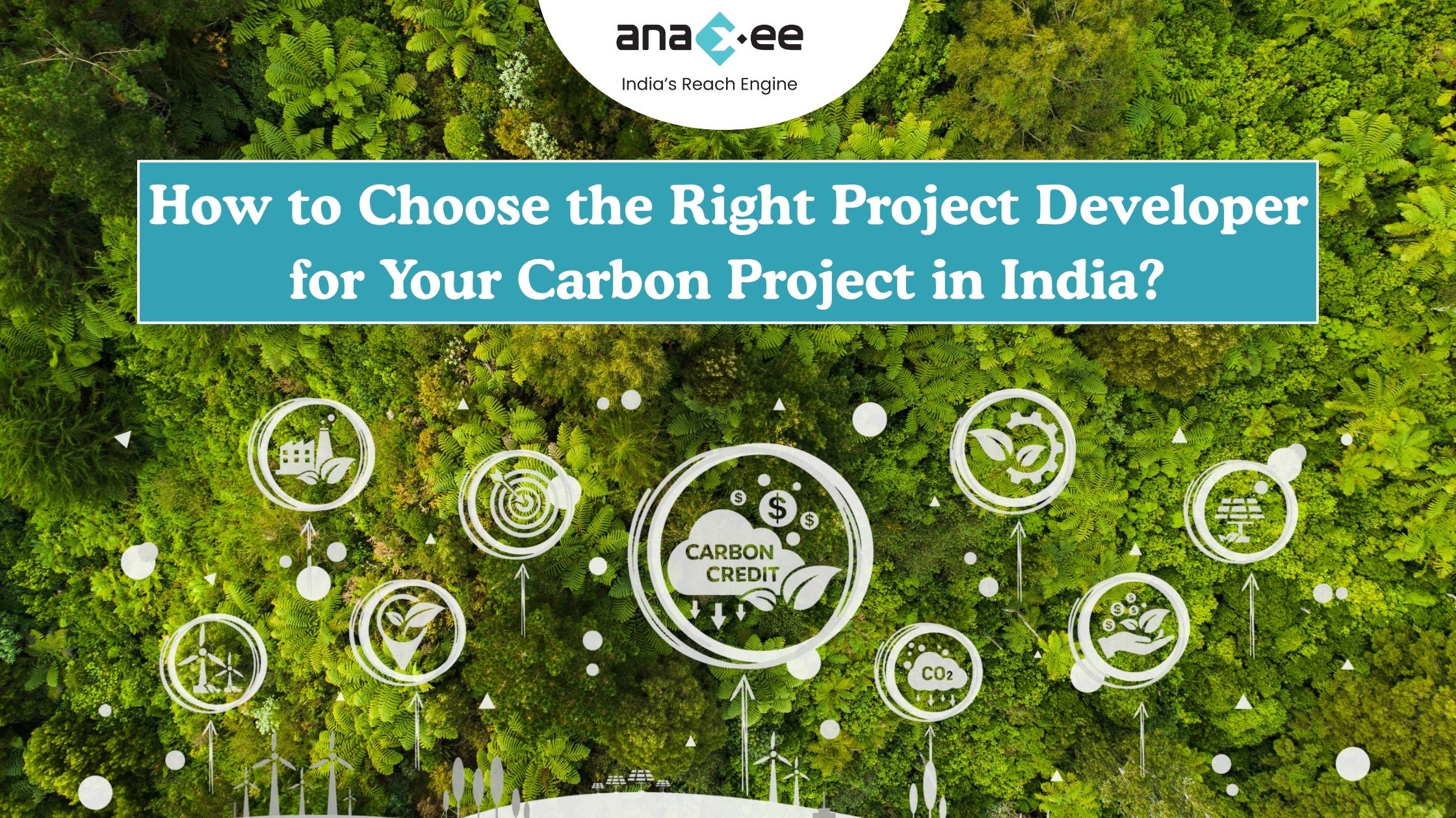 How to Choose the Right Project Developer for Your Carbon Project in ...