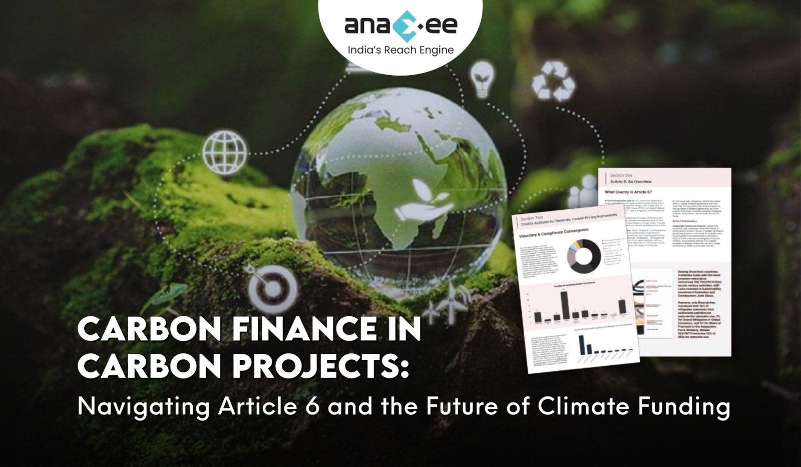 Carbon Finance in Carbon Projects: Navigating Article 6 and the Future ...