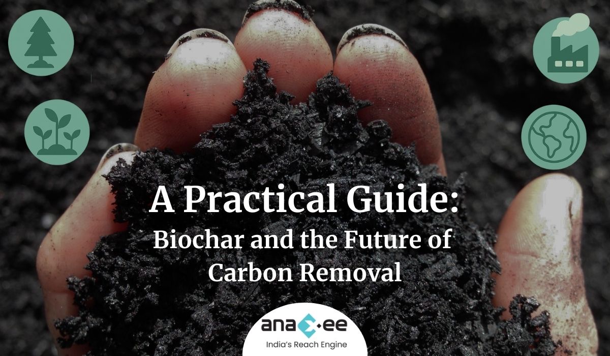 Biochar and the Future of Carbon Removal: A Practical Guide - Anaxee Blog's