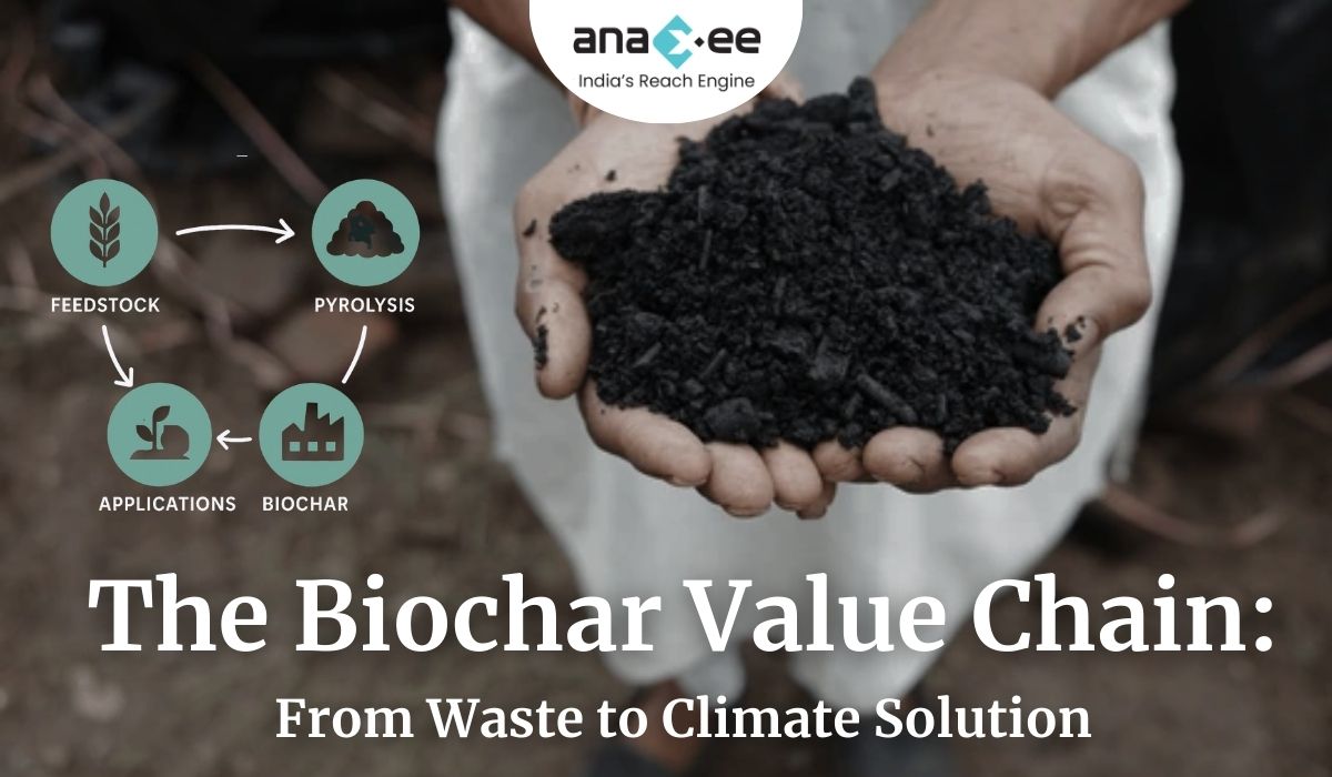 The Biochar Value Chain: From Waste Biomass to Climate Solutions ...