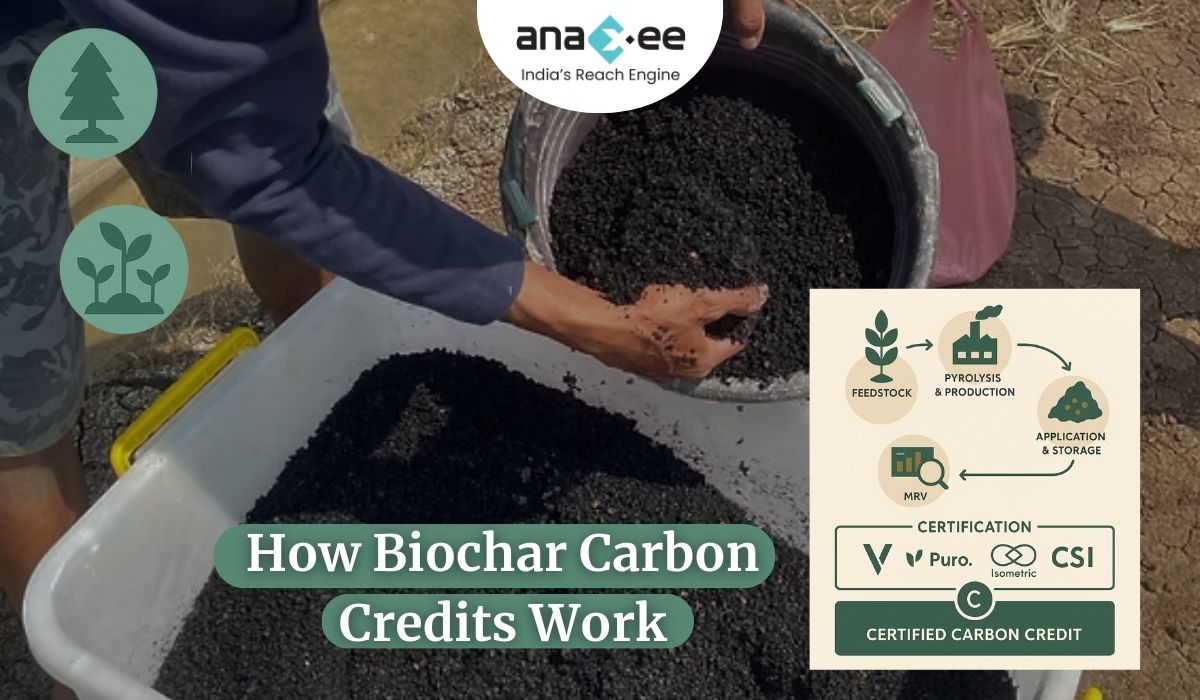 How Biochar Carbon Credits Work: From Production to Certification ...