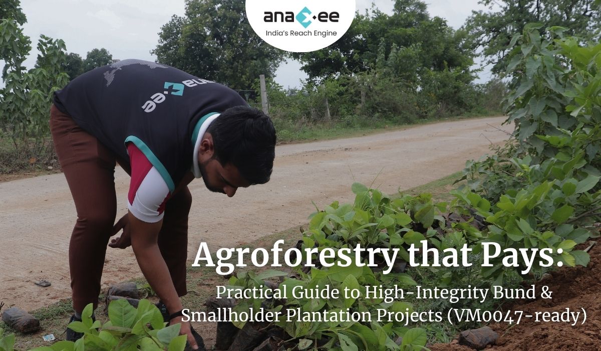 Agroforestry that Pays: Practical Guide to High-Integrity Bund ...