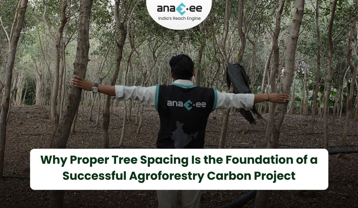 Why Proper Tree Spacing Is the Foundation of a Successful Agroforestry Carbon Project - Anaxee ...