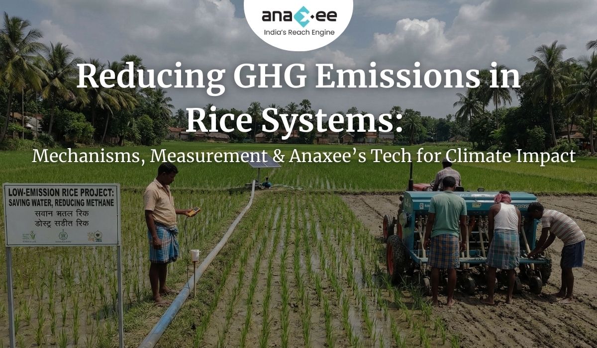 Reducing GHG Emissions in Rice Systems: Mechanisms, Measurement ...